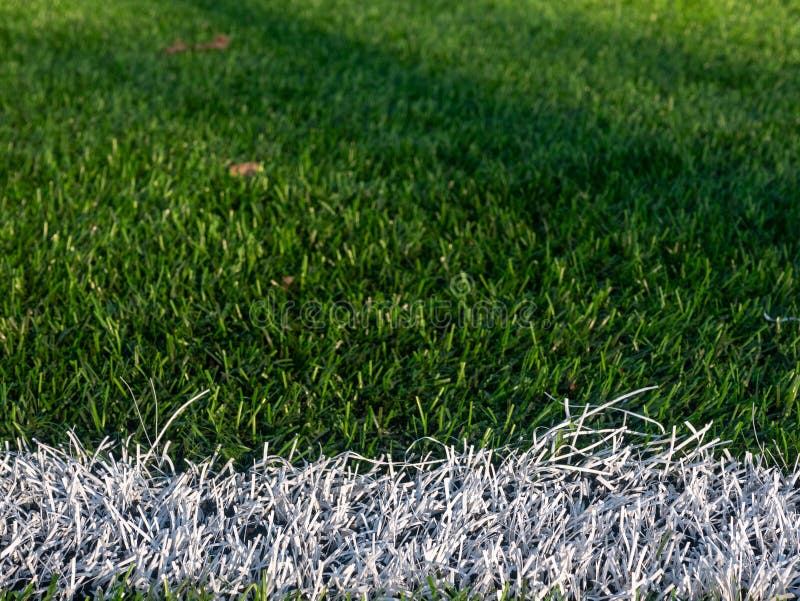 A White Line is on the Grass Stock Image - Image of field, white: 359425627