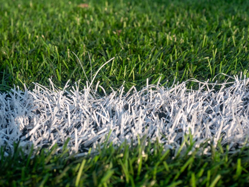 A White Line is on the Grass Stock Image - Image of field, game: 359425881