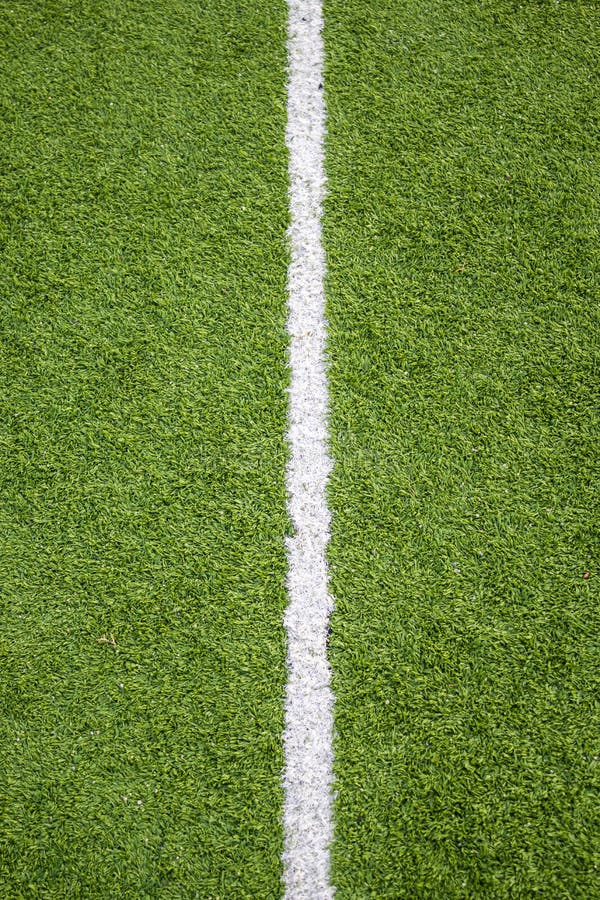 Soccer Field for Championship.the Marking of the Football Field on the ...