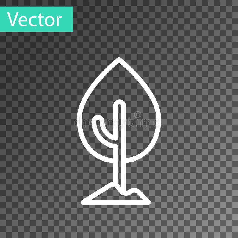 White Line Tree Icon Isolated on Transparent Background. Forest Symbol ...