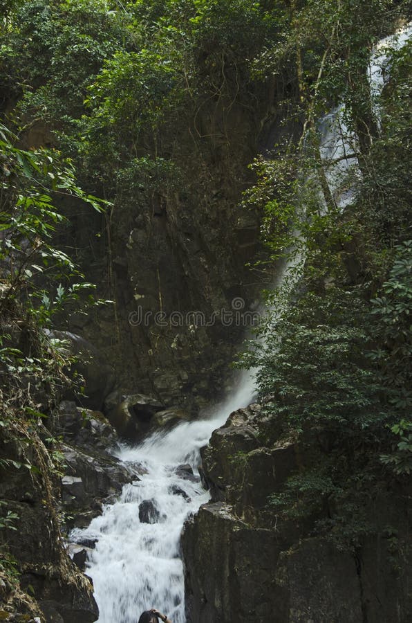White Line of Waterfall on the Cliff in the Forest Stock Photo - Image ...