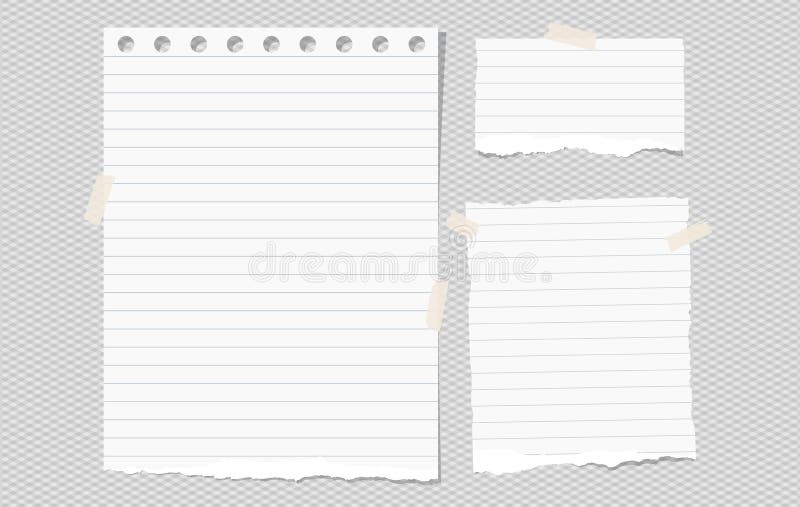 Pieces of Torn White Lined and Squared Notebook Paper on Gray ...