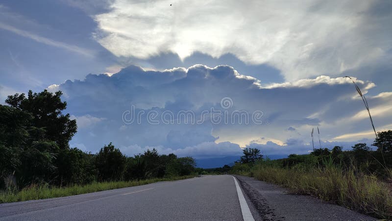 White Lines Leading To the Horizon Stock Photo - Image of field, tree ...