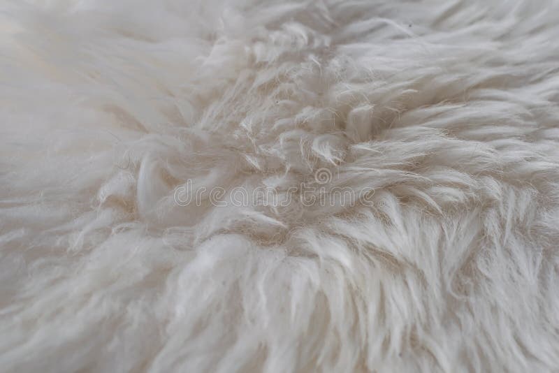 3,325 Sheep Hair Texture Photos - Free & Royalty-Free Stock Photos from ...
