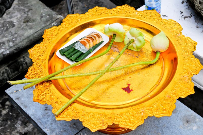 White Lotus stock photo. Image of lilly, floral, blooming - 20804628