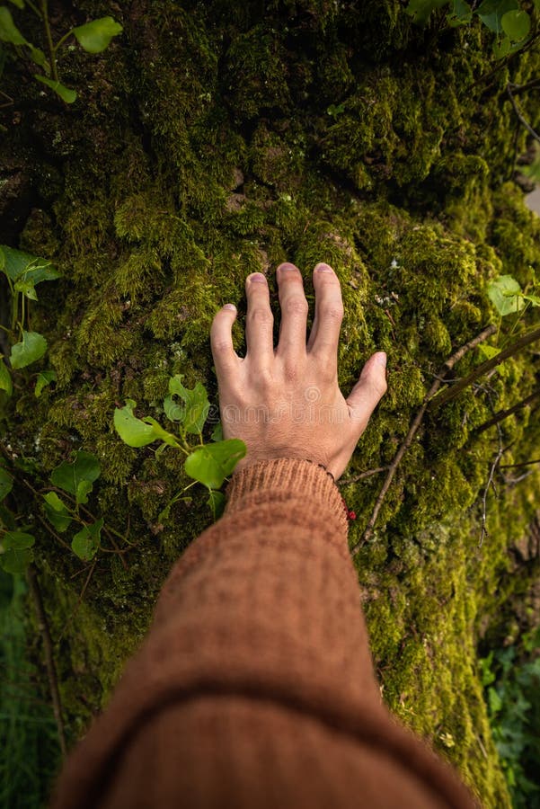 White Man Hand Resting Over a Mossy Tree Trunk Stock Photo - Image of ...