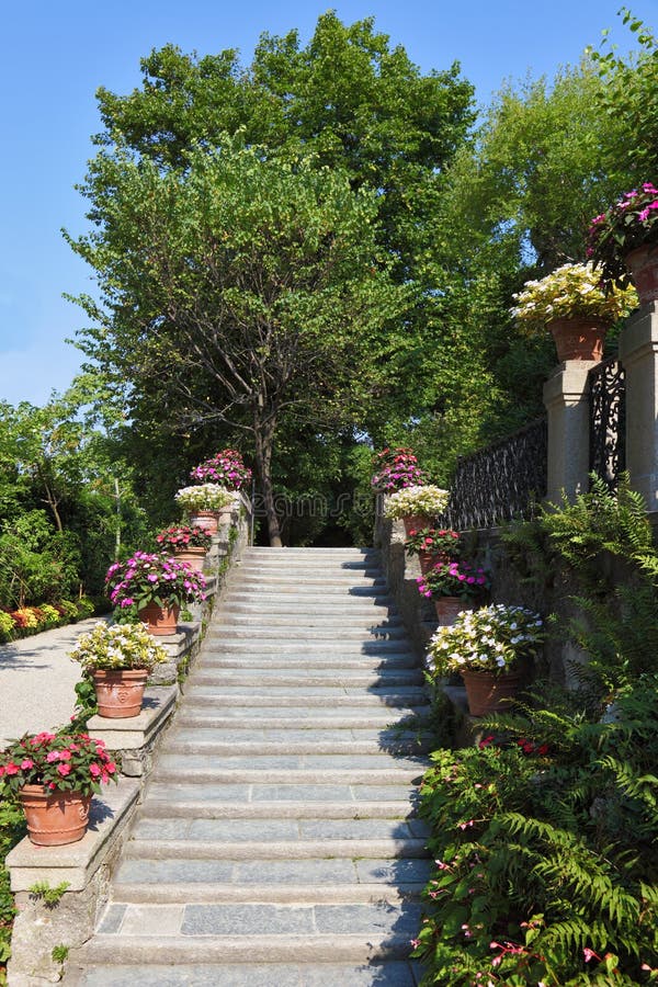 White marble ladder stock image. Image of nature, green - 17527481