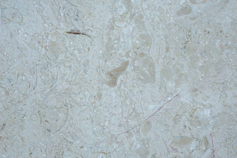 White Marble Natural Stone Slice Flat Stock Photo - Image of pattern ...