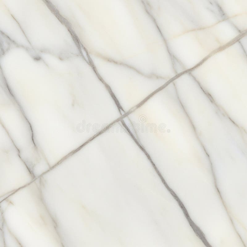 Light Gray Veining Pattern Stock Illustrations – 3,604 Light Gray ...