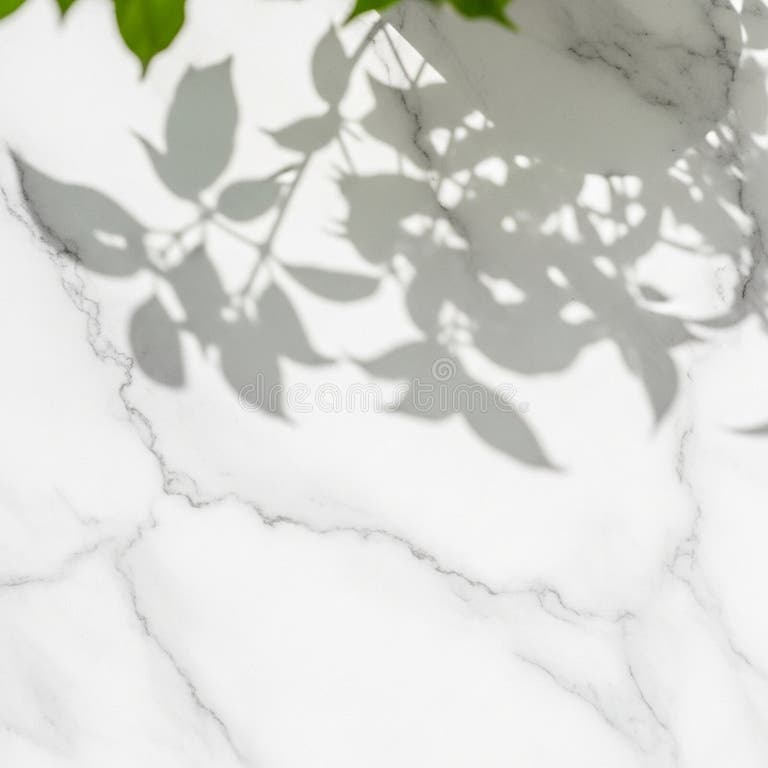 Overhead Shadow Stock Illustrations – 33,519 Overhead Shadow Stock ...