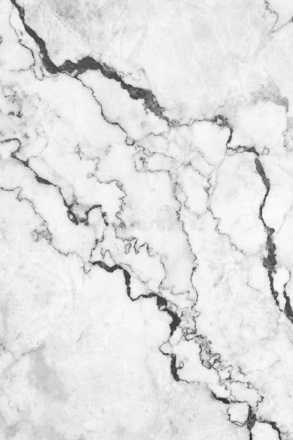 White Marble Texture Background Floor Decorative Stone Interior Stock ...