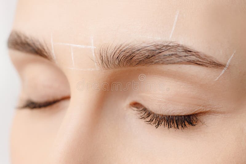 Eyebrow Tint, Master Correction of Brow Hair Women Stock Image - Image ...