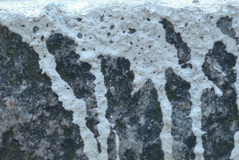 White marks on rock stock image. Image of texture, closeup - 287121