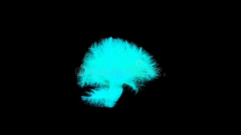 The Human Brain Model stock footage. Video of internal - 140022224