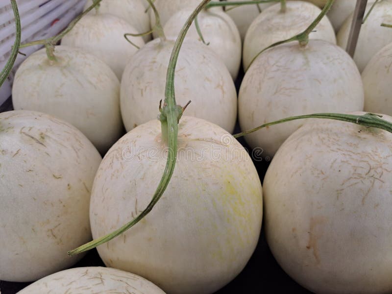 White Melon with a Sweet Taste Stock Image - Image of tomato, white ...