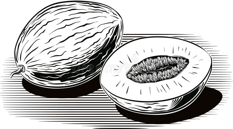 Cut Melon Half Stock Illustrations – 3,784 Cut Melon Half Stock ...