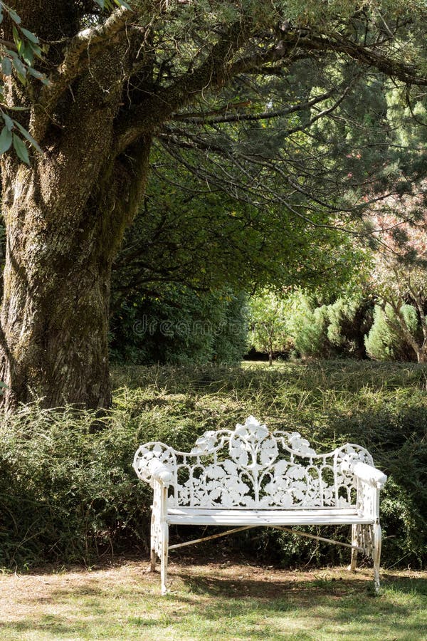 White Metal Garden Seat Bench Under Tree Stock Image - Image of grass ...