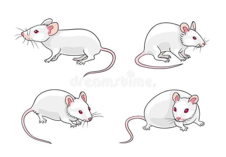White Mice - Vector Illustration Stock Vector - Illustration of house ...