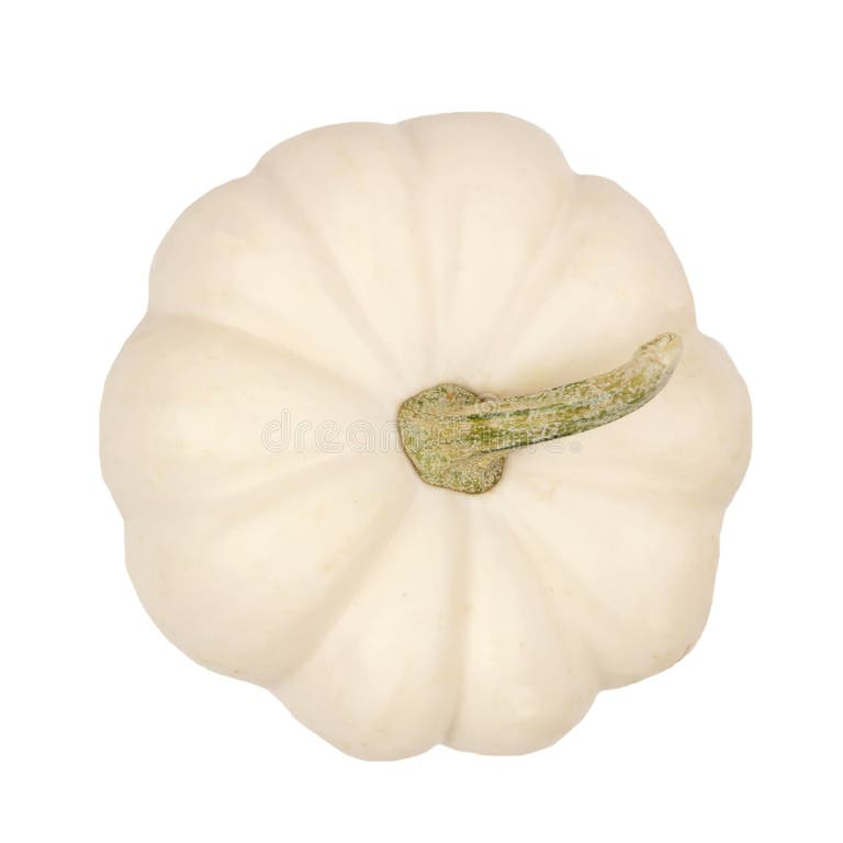 White Mini Pumpkin Top View Isolated on White Stock Image - Image of ...