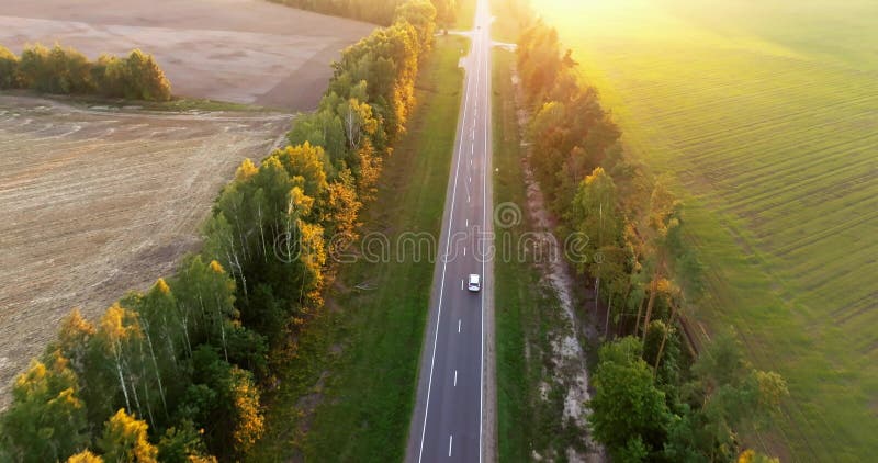 White Minivan Car Drives on a Asphalt Road among the Fields, Forest at ...