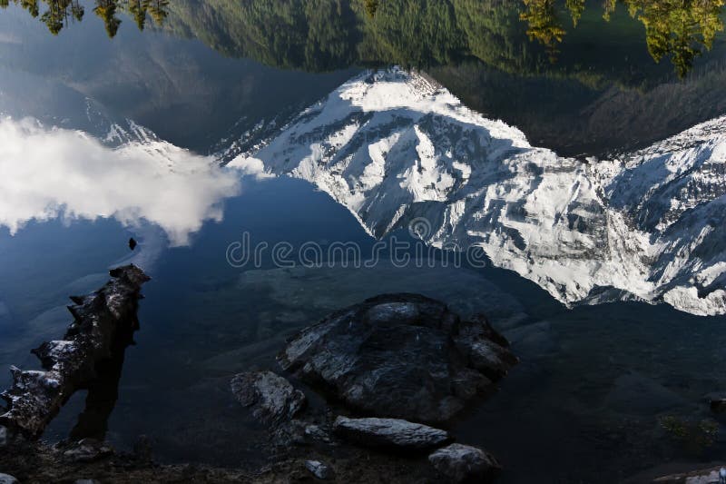 White Mountain Ridge Reflected in a Lake Stock Photo - Image of pine ...