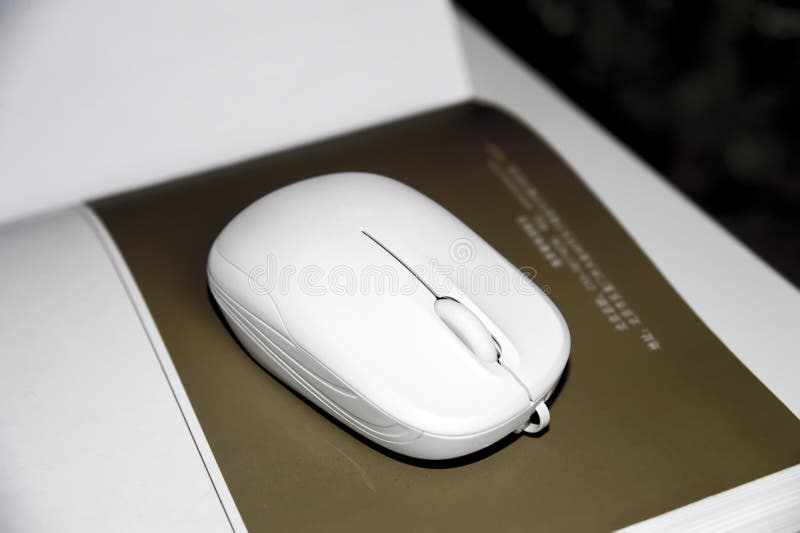 White mouse stock photo. Image of lovely, office, pure - 38070126