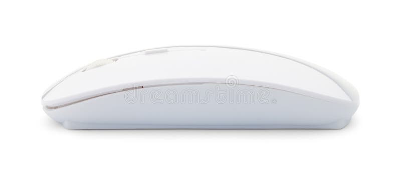 White Mouse Side View stock photo. Image of side, mouse - 144937582