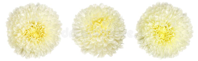 2,464 Symmetry Border Stock Photos - Free & Royalty-Free Stock Photos ...