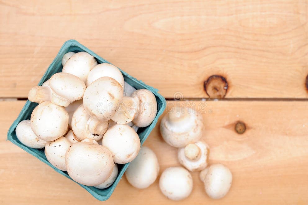 White mushroom stock photo. Image of brown, fresh, food - 29511444