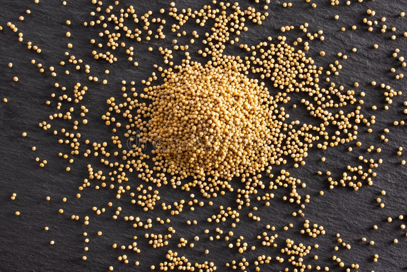 White Mustard Seeds on Grey Stone Stock Image - Image of pile ...