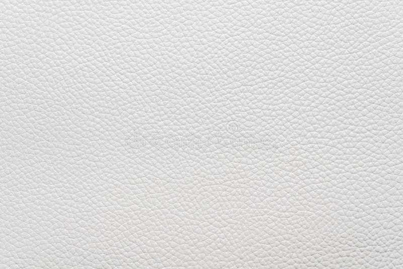White Natural Animal Skin Texture. Skin with Pattern Stock Photo ...