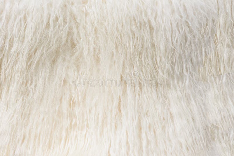 White wool background stock photo. Image of comfort - 134482958