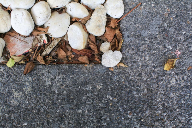 White Natural Stone Floor in the Garden with Concrete Pathway, Rock ...