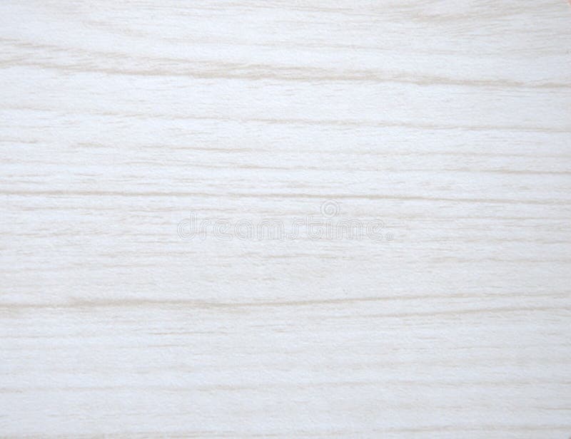 White Natural Wood Texture Close-up on a Cut Stock Photo - Image of ...