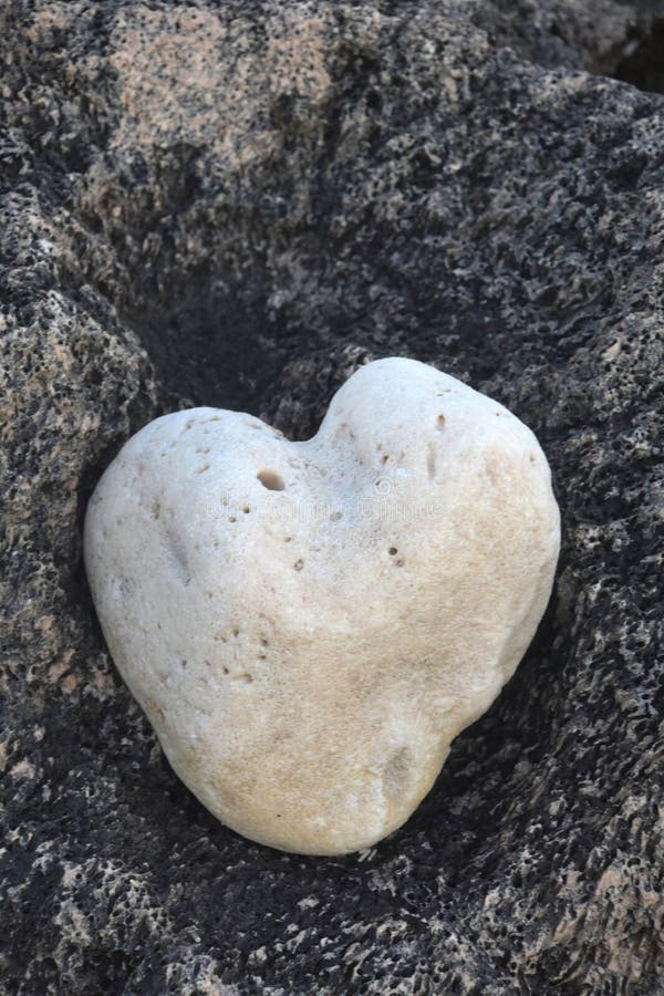 White Naturally Rounded Heart Shaped Stone in Aruba Stock Image - Image ...