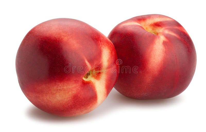 White nectarine stock photo. Image of antioxidant, produce - 123566568