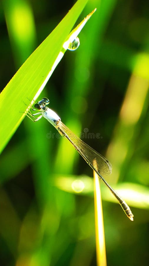 A Very Small Family Corner Adorned with Nordic-style Storage Spaces ...