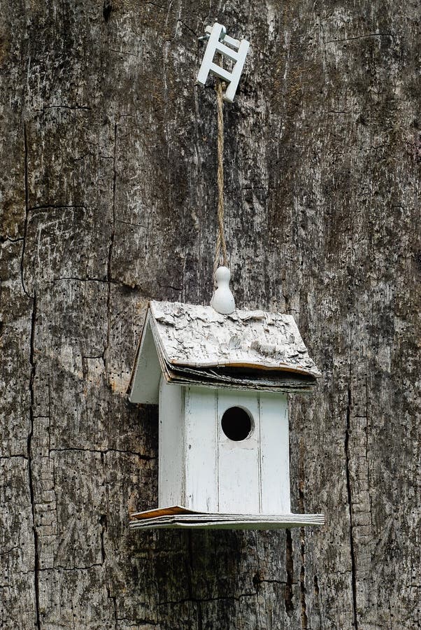 White Nesting Box on an Old Tree Stock Photo - Image of birdhouse ...