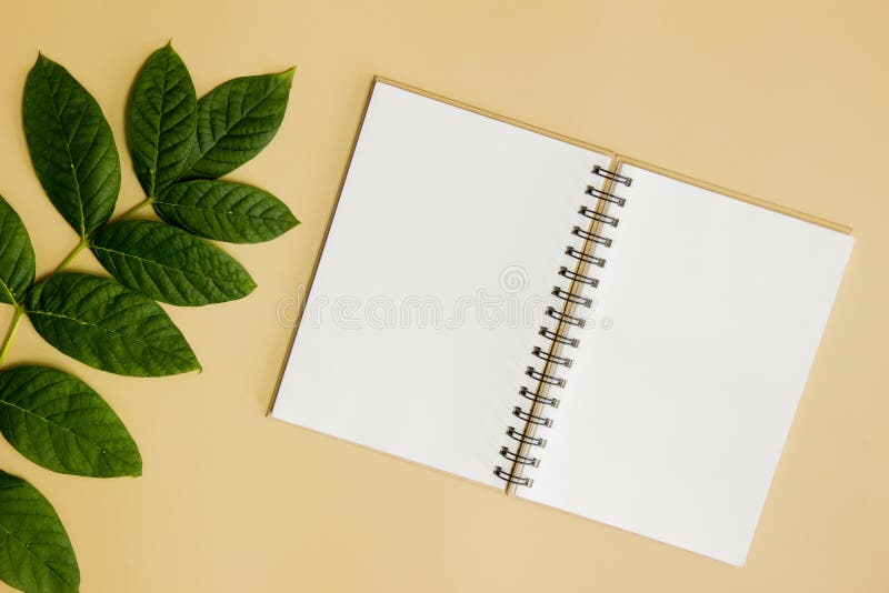 White Notebook with Green Leaves Over the Brown Background. Stock Photo ...