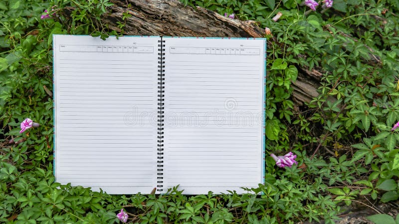 White Notebook Paper on the Grass with Copy Space Stock Image - Image ...