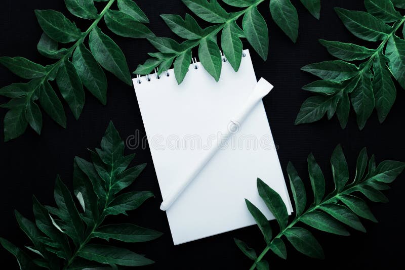 White Notepad and Green Tropical Leaves Stock Photo - Image of layout ...