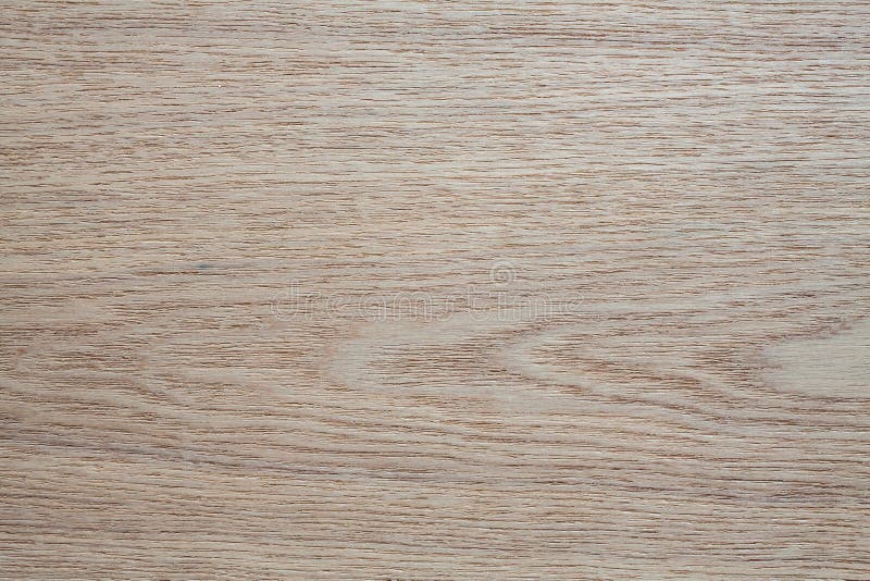 White Oak Wood Background Texture. Stock Image - Image of panel, runge ...
