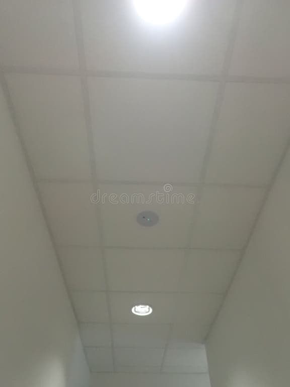White Office Building Ceiling Grid Stock Image - Image of office, still ...