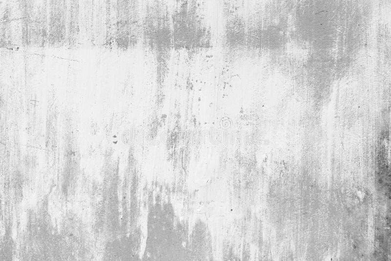 481 Fussy White Background Stock Photos - Free & Royalty-Free Stock ...