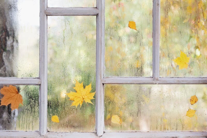 Old Wooden Window with Rain Drops and Autumn Leaves Stock Image - Image ...