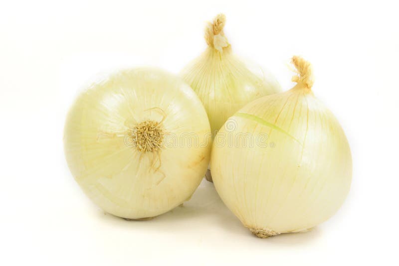 White onion. stock image. Image of cook, garden, bulb - 4349041