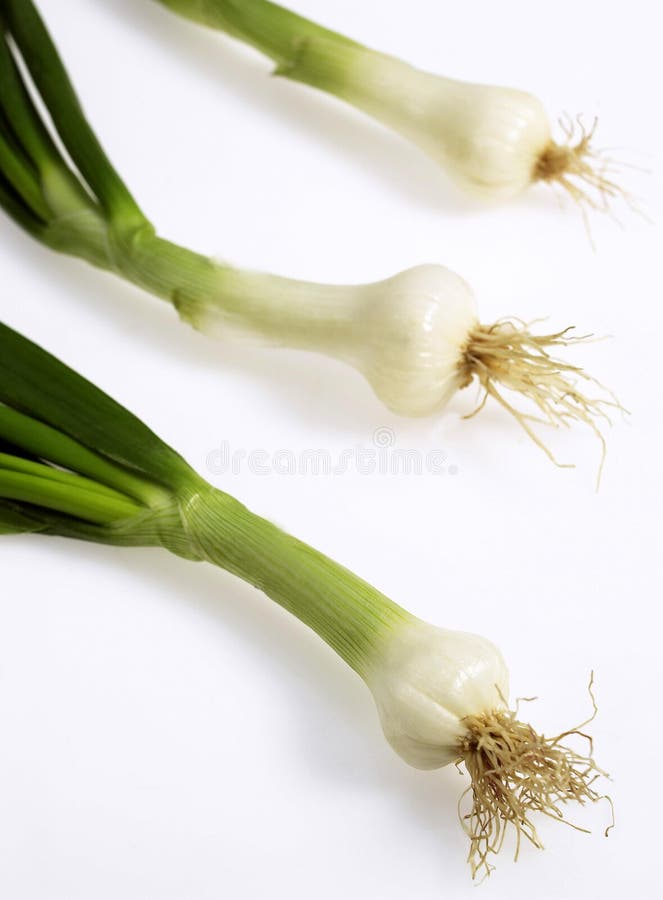 White Onion, Allium Cepa, Vegetable Against White Background Stock ...
