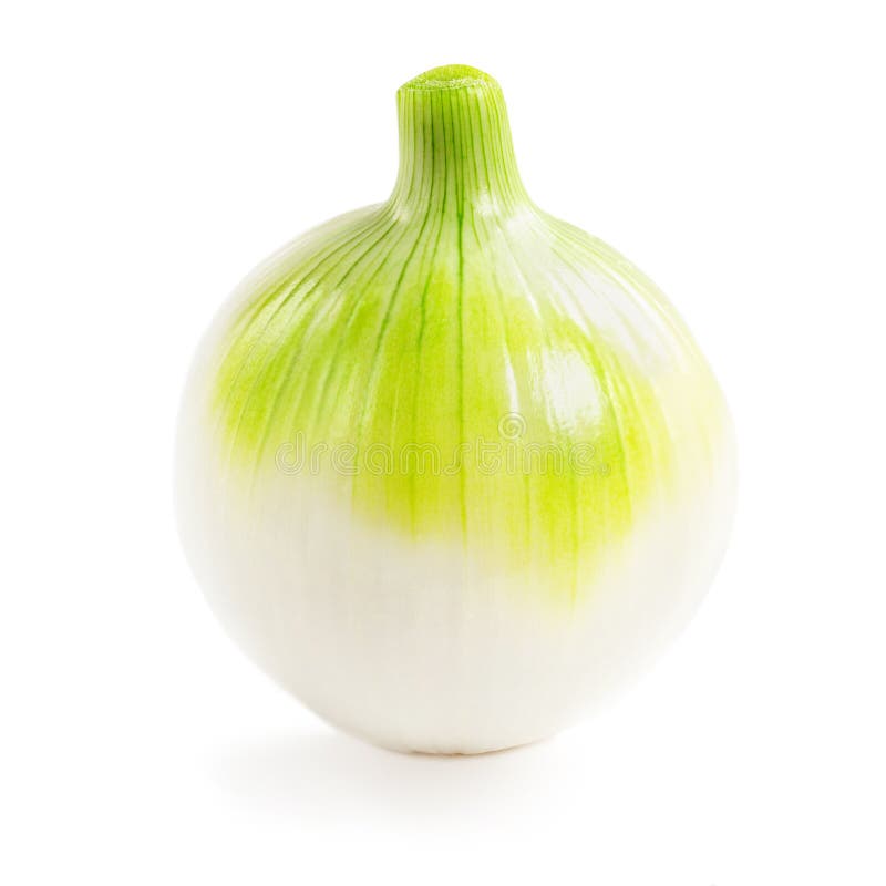 White Onion Isolated. Fresh Bulb of Onion Vegetable Close Up Stock ...