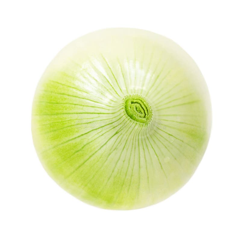 White Onion Isolated. Fresh Bulb of Onion Vegetable Close Up Stock ...