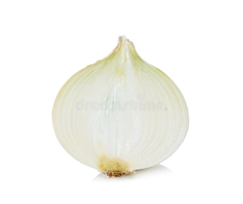 White Onion Isolated on the White Background Stock Photo - Image of ...